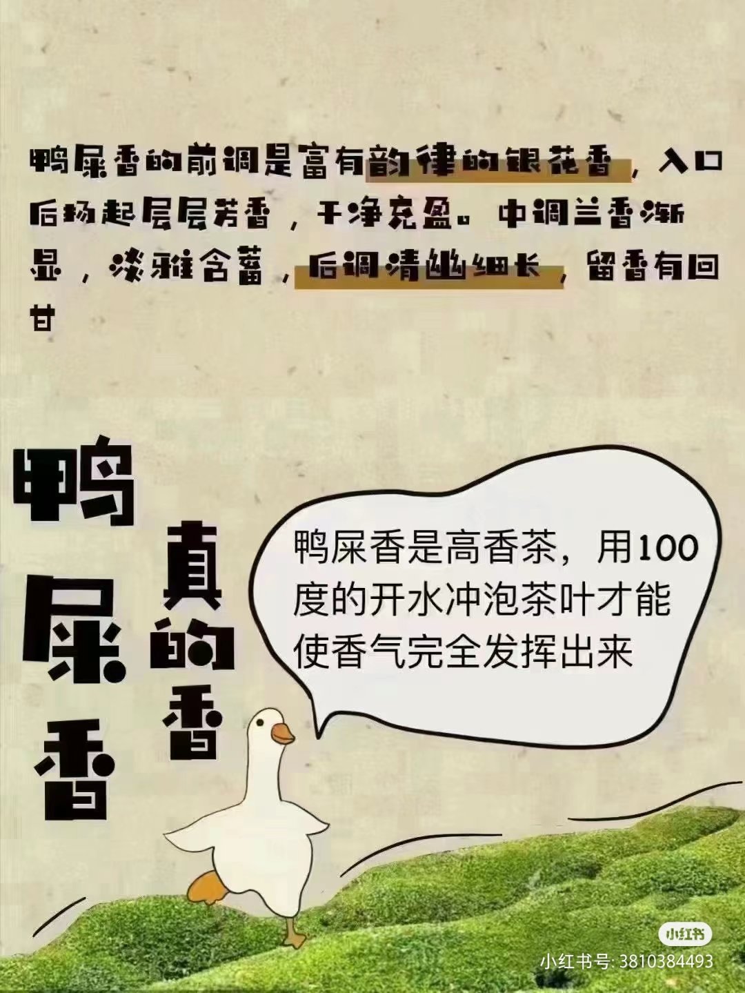 @DanaBroad144285/涨粉刷赞点我查看 / Twitter