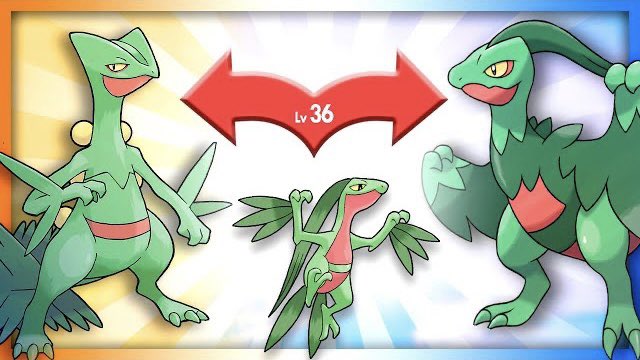 Treecko Evolutions
