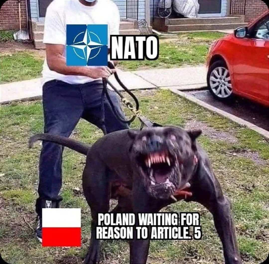 Dr.M.A.A.O.W. on Twitter: "@TheKremlinYap Am sure Poland is keen to try all the new NATO ...