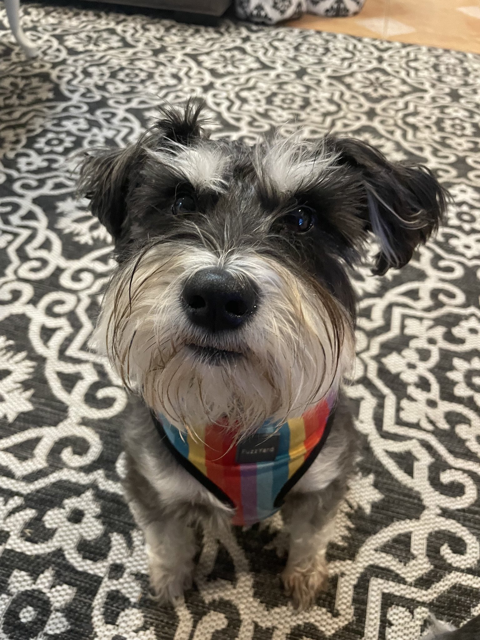 Lucid on Twitter: "@bubble_jit @VirtualTTV @Rocket https://t.co/O9ExpCVTsl" / Twitter