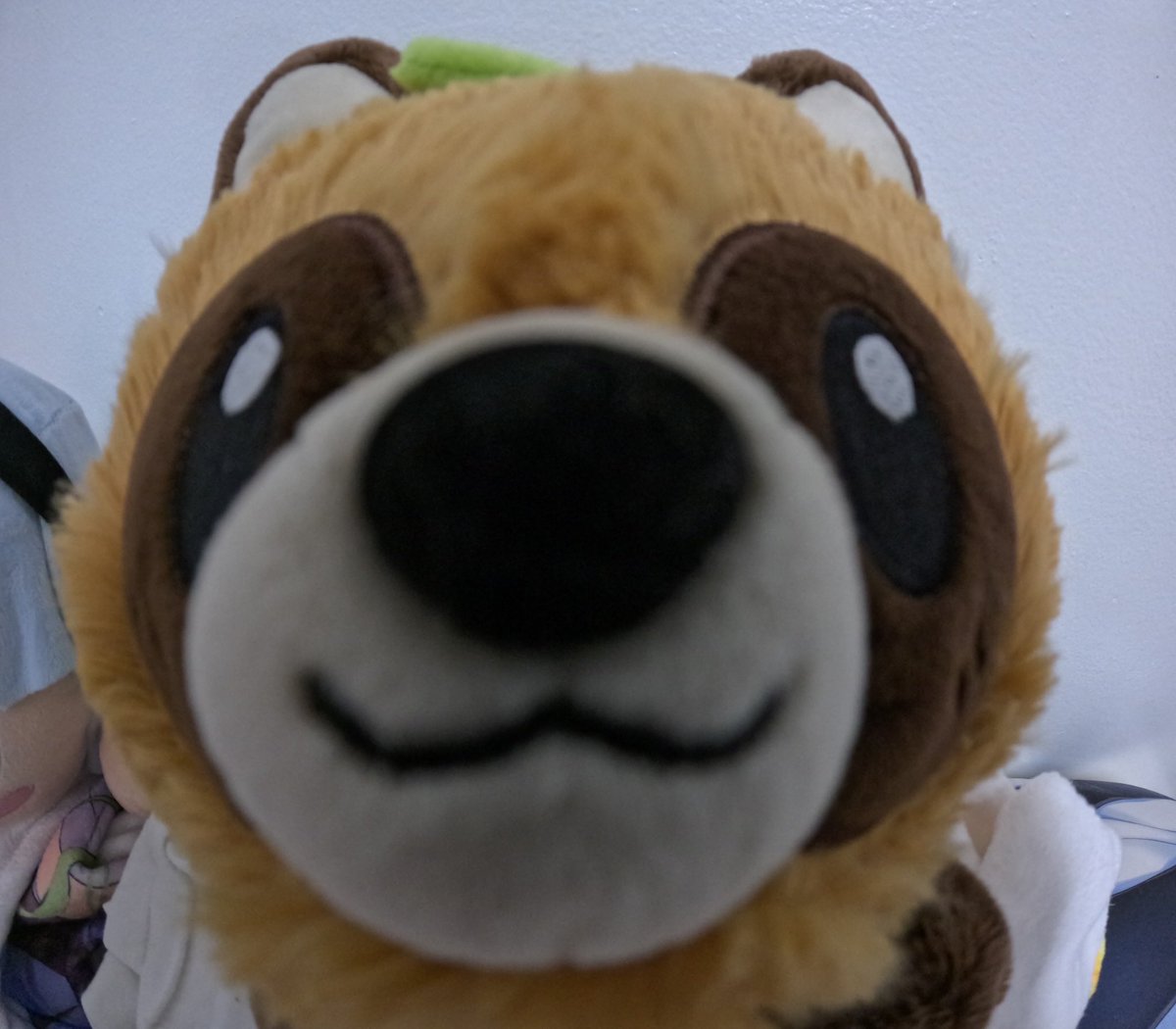 cloudie @ art grind 🎨 on Twitter: "RT @Hey_Mr_E: Tanuki Squishable fisheye 👀"