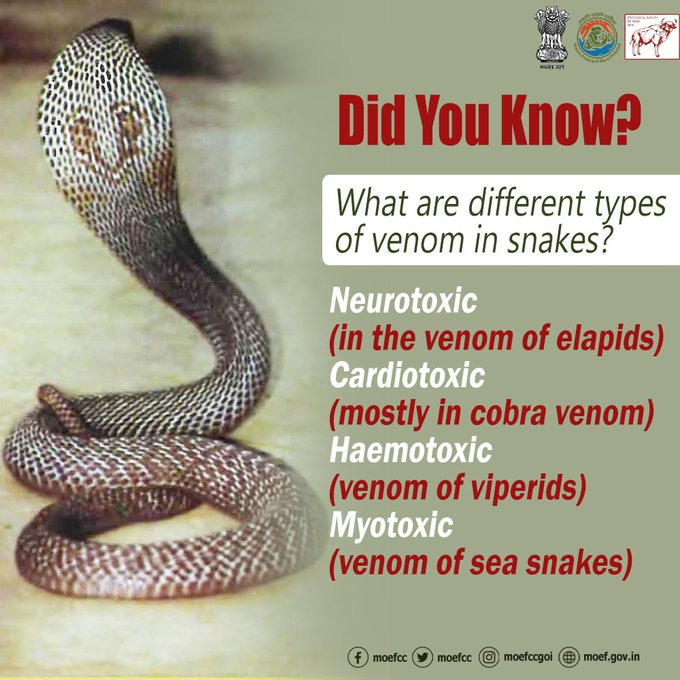 Every year, the 16th of July is observed as World Snake Day. This day ...