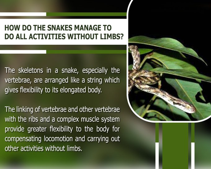 Every year, the 16th of July is observed as World Snake Day. This day ...