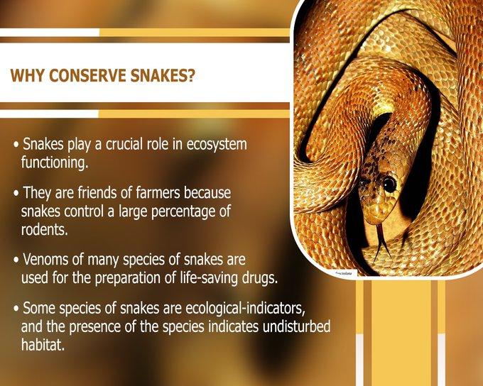 Every year, the 16th of July is observed as World Snake Day. This day ...