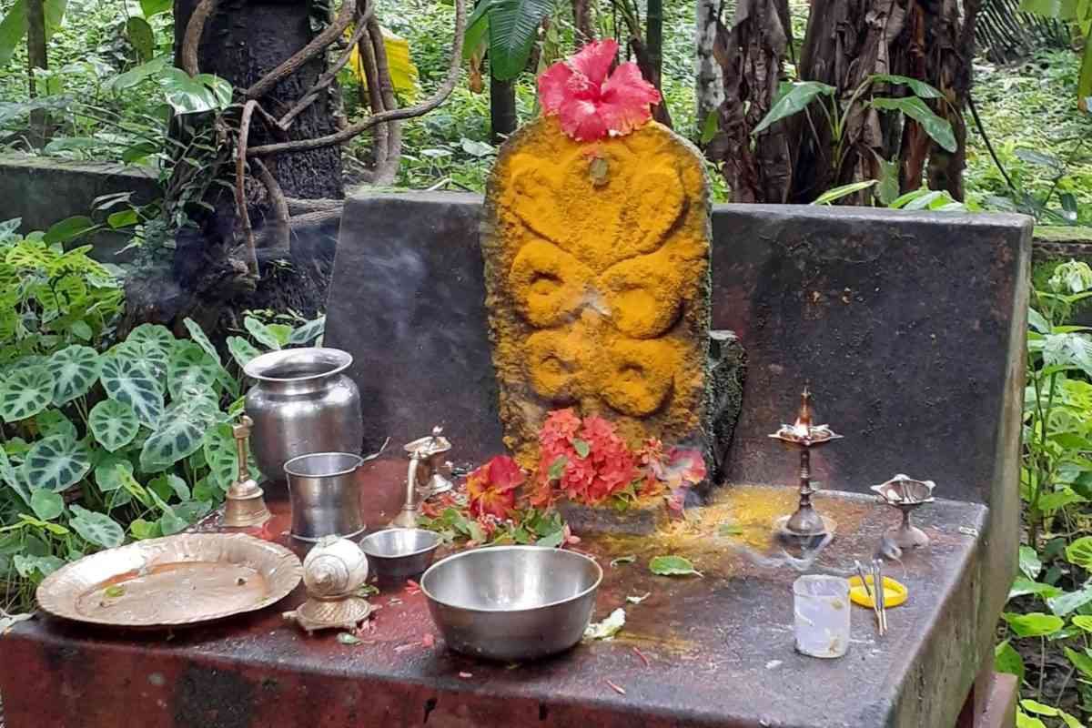 Every year, the 16th of July is observed as World Snake Day. This day ...