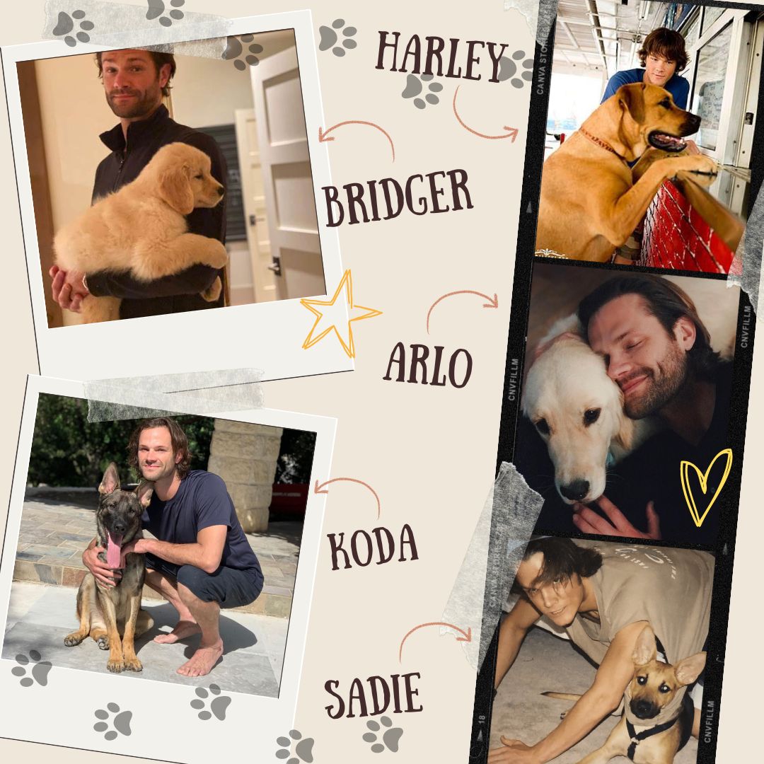 🦿keesh 🦥 🦿 on Twitter: "#JaredWeek Jared with Pets https://t.co/8e79jaXDT6" / Twitter