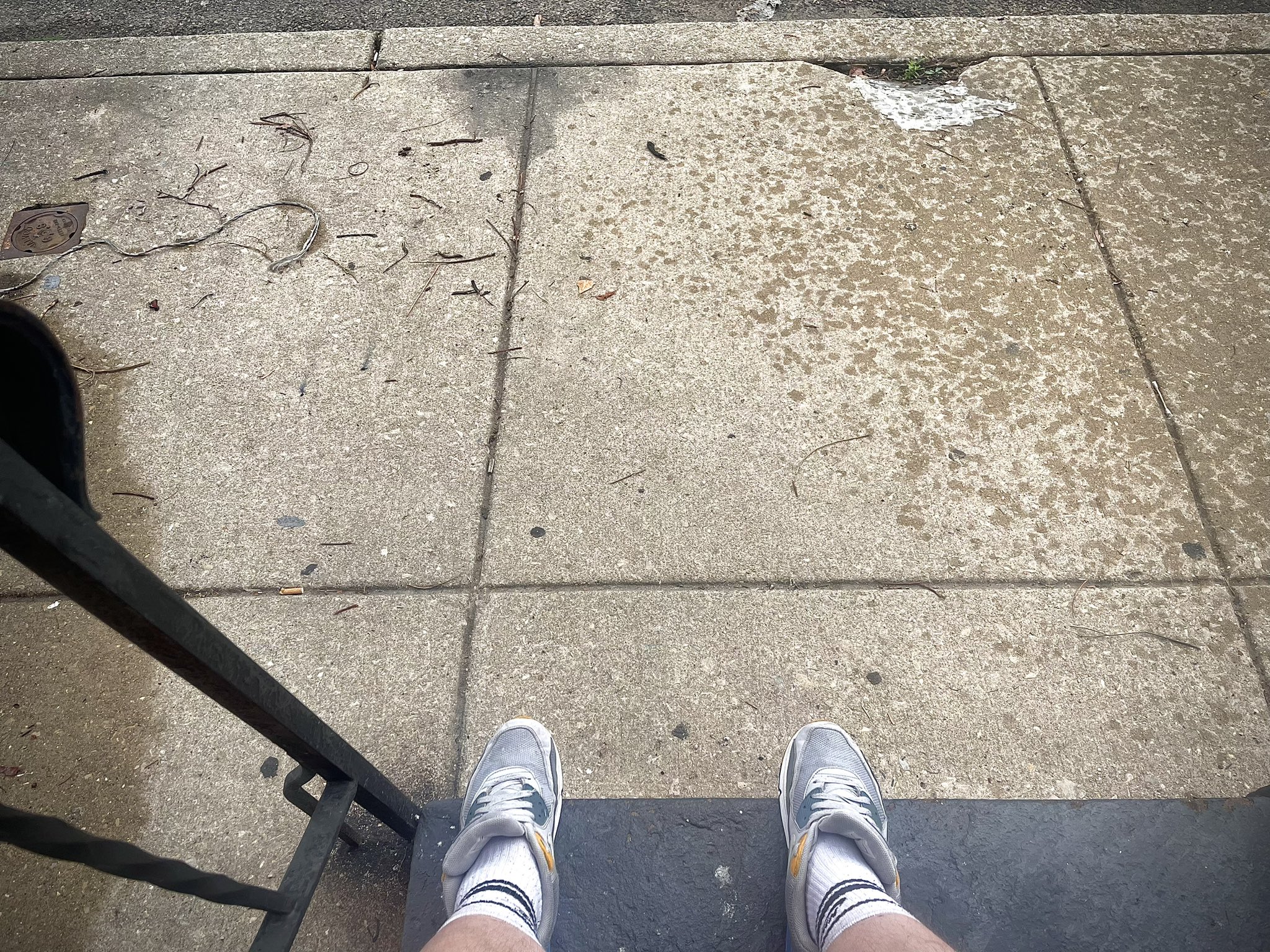 Josh Kruger on Twitter: "An often overlooked benefit to participating in @TreePhilly with a free ...