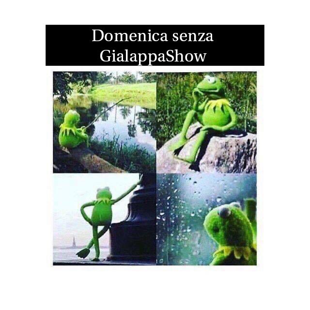 Kermit Looking Out The Window