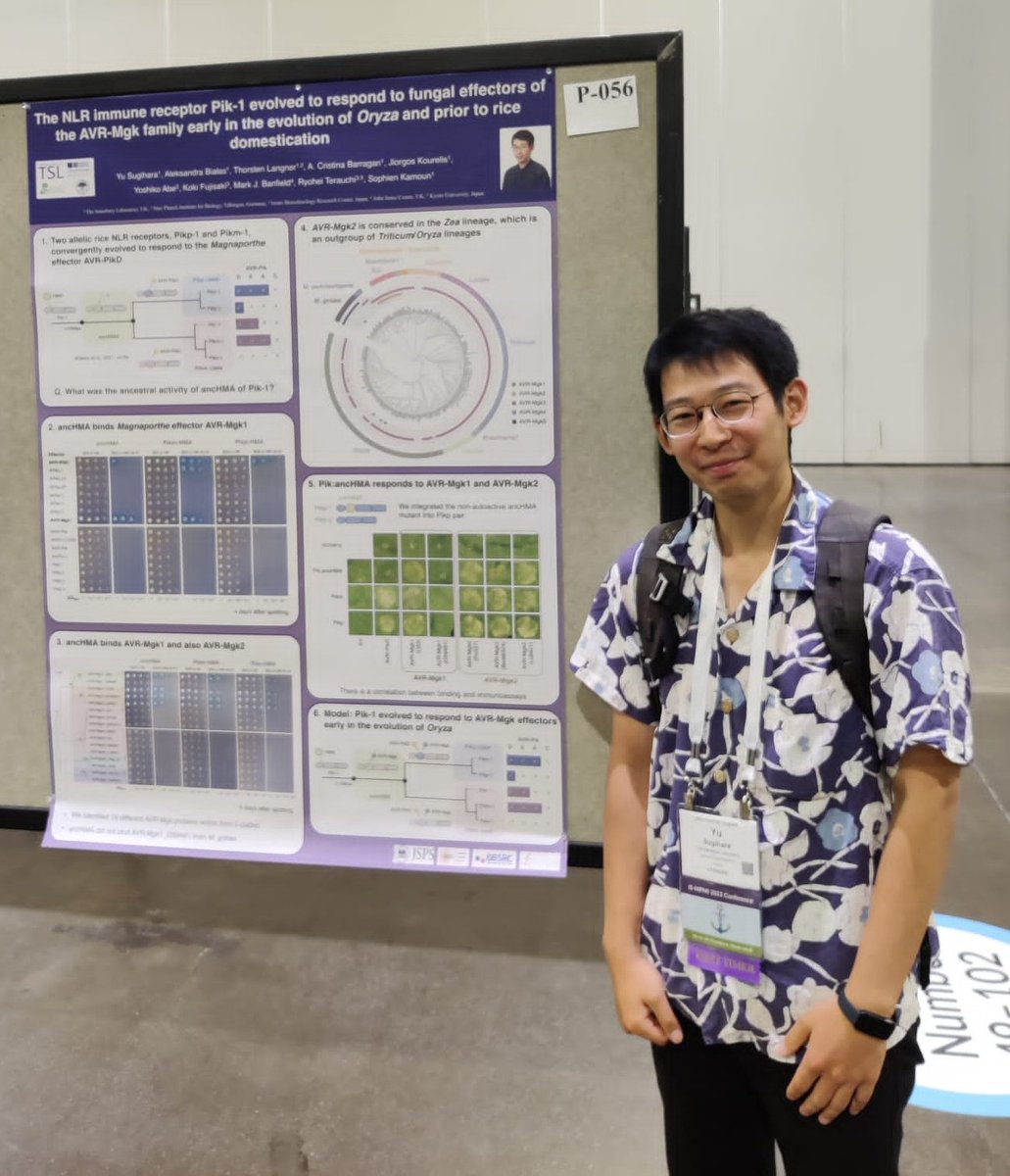 Yu Sugihara on Twitter: "We prepared a poster for tomorrow's session Cell Biology of Host ...