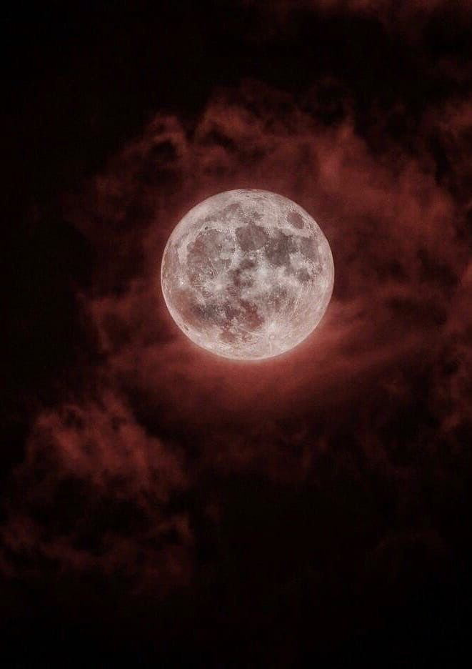 Vampire Moon Backgrounds