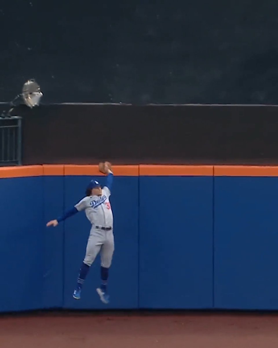 MLB on Twitter: "James crashes into the wall to record the Out, man! 😉 (MLB x @peteandgerrys)"