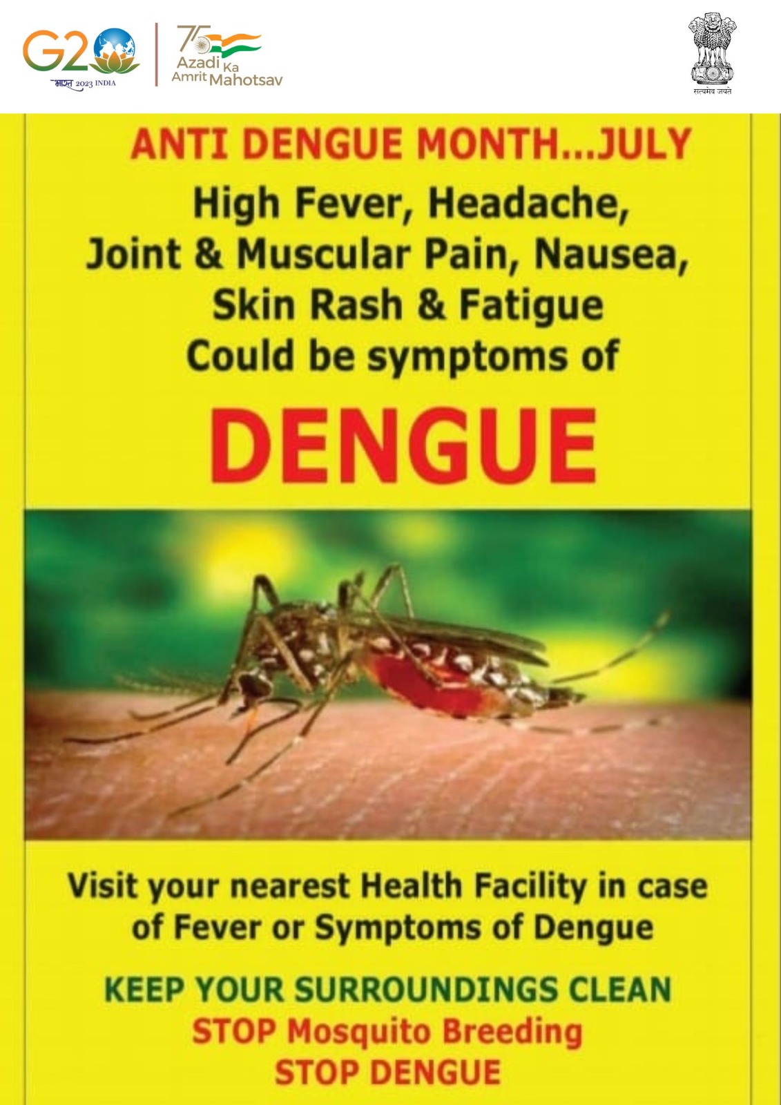 Dengue Fever Symptoms Rash