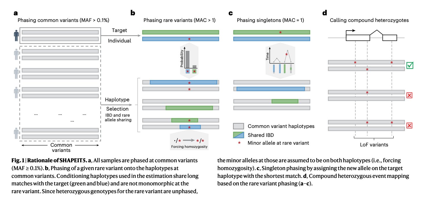 BioDecoded on Twitter: "Accurate rare variant phasing of whole-genome and whole-exome sequencing ...