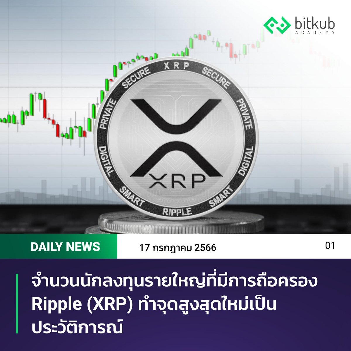 Bitkub Academy on Twitter: "ข่าวประจำวันจันทร์ที่ 17 กรกฎาคม พ.ศ. 2566 . 1. จำนวนนักลงทุนรายใหญ่ ...