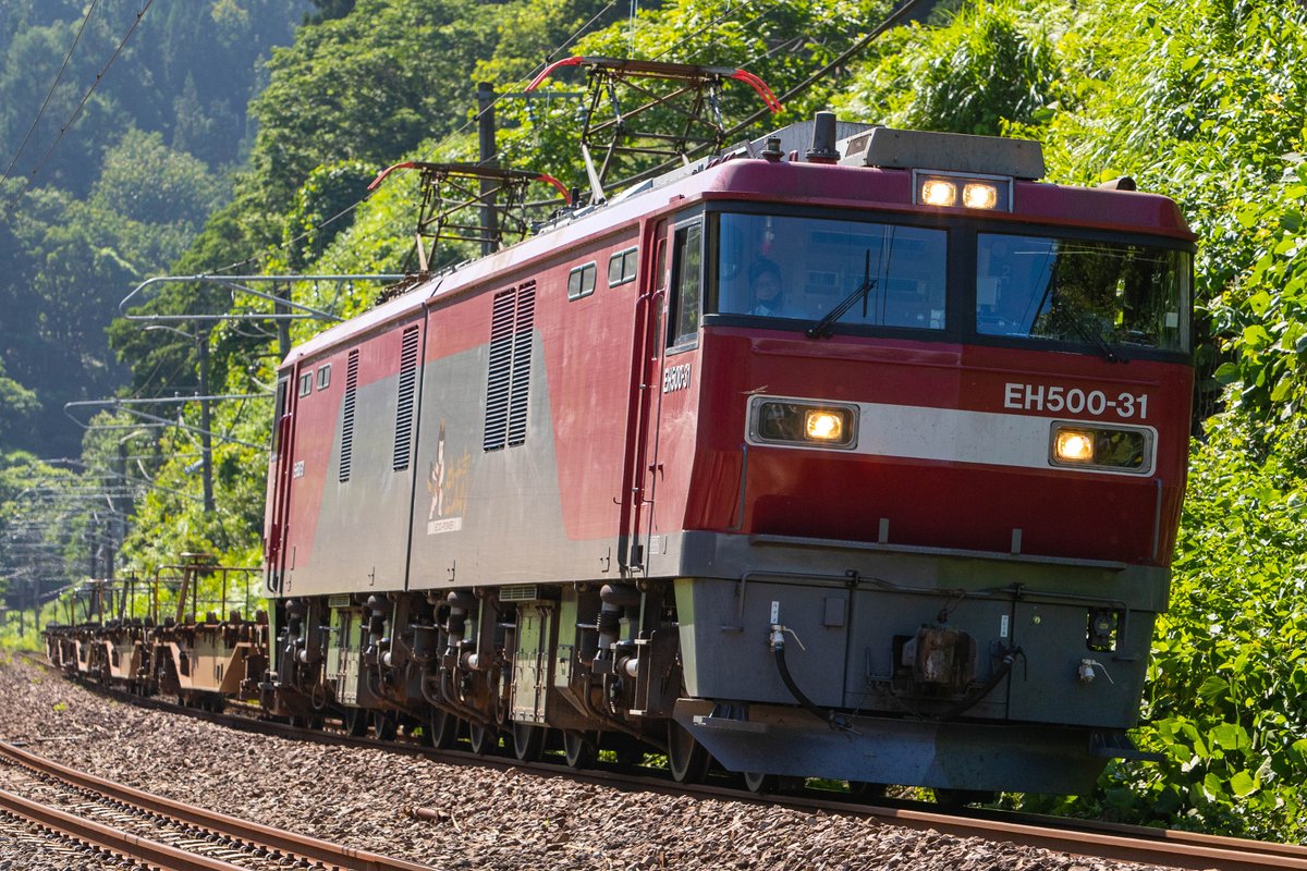 ふぁるくらむ on Twitter: "2023/7/17 3097ﾚ EH500-31+コキ×5両 家庭行事の隙間時間に近所で撮り鉄。月曜でしかも休日って事でコンテナ少ないだろうなと思いつつ ...