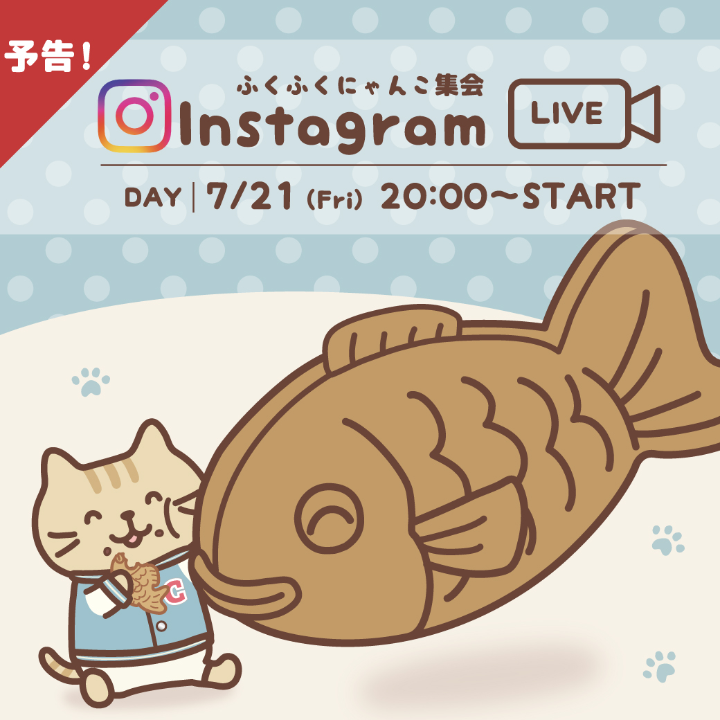 HAPiNS【公式】 on Twitter: "さ・ら・に！ インスタライブで… 企画中の ''あの'' アイテムを先行特別公開 𓐍𓈒 𓂃Instagram Live𓂃 𓈒𓐍 #ふくふく ...