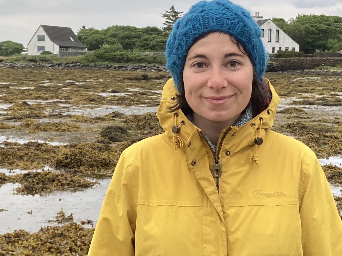Project Seagrass On Twitter 👇👇👇
