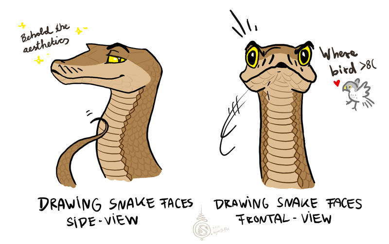 How To Draw A Snake Face