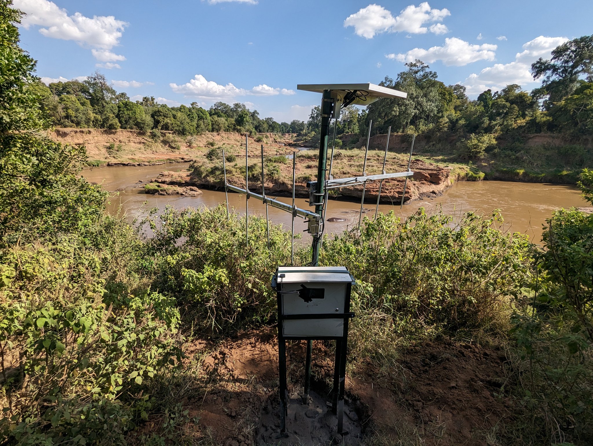 Christopher L Dutton on Twitter: "YES!!! 2nd fish tracking radio telemetry station is now online ...