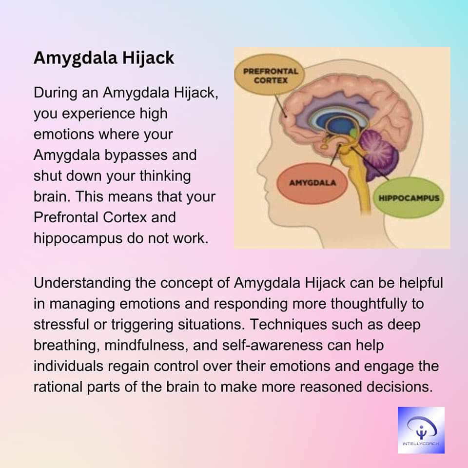Amygdala Hijack