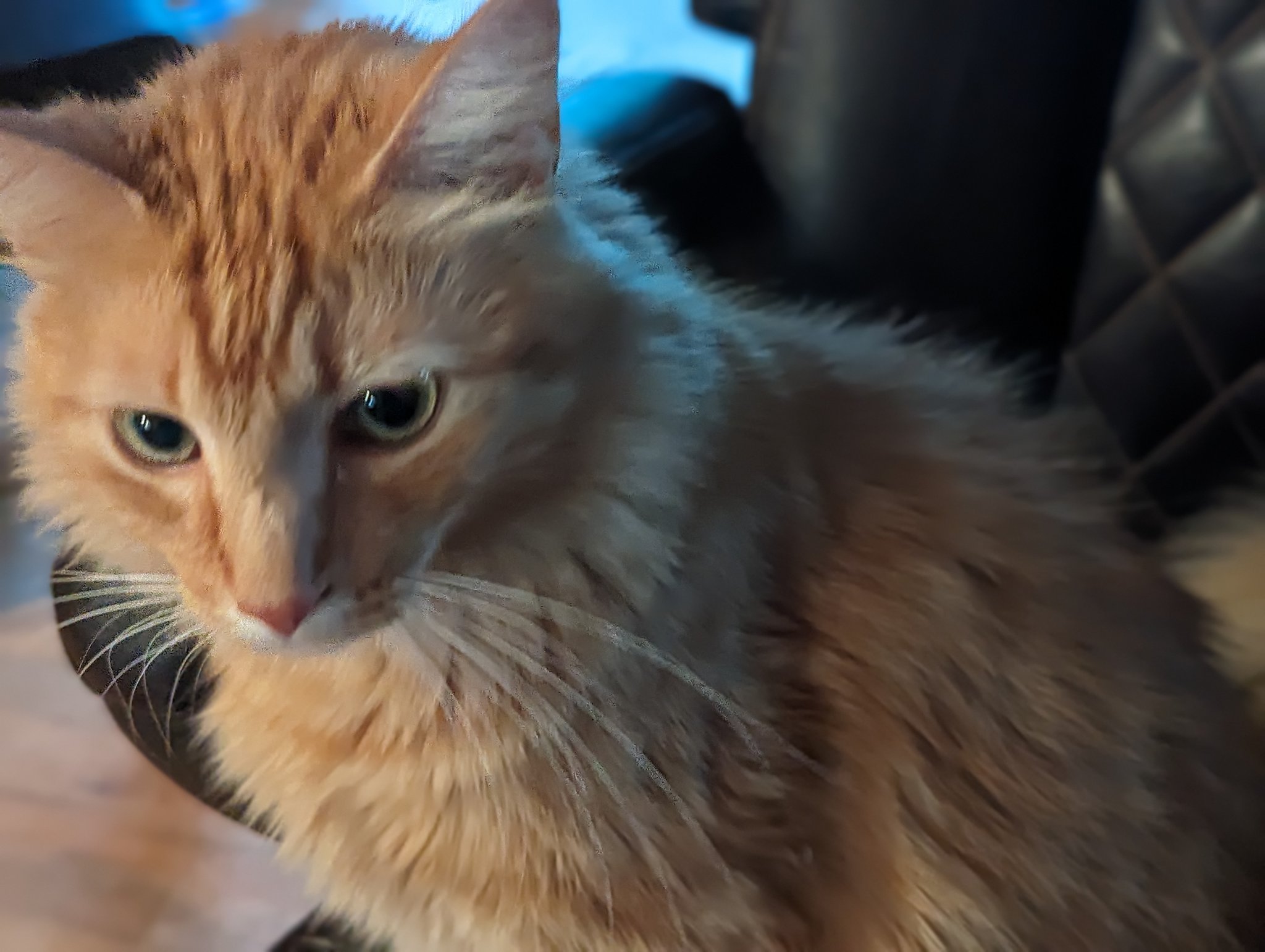 WEB姉貴 VSINGER ENVTUBER 🧀 🎀 on Twitter: "We had a photoshoot https://t.co/C5Rk2qjuk3" / Twitter