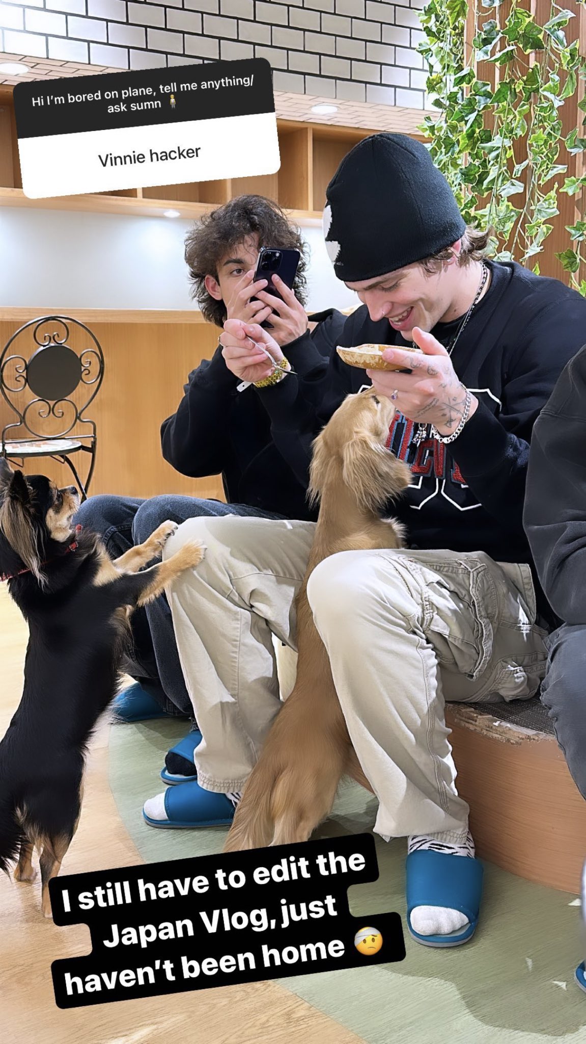 Portal Hacker Wright BR on Twitter: "— “Eu ainda tenho que editar o vlog do Japão, só não estive ...