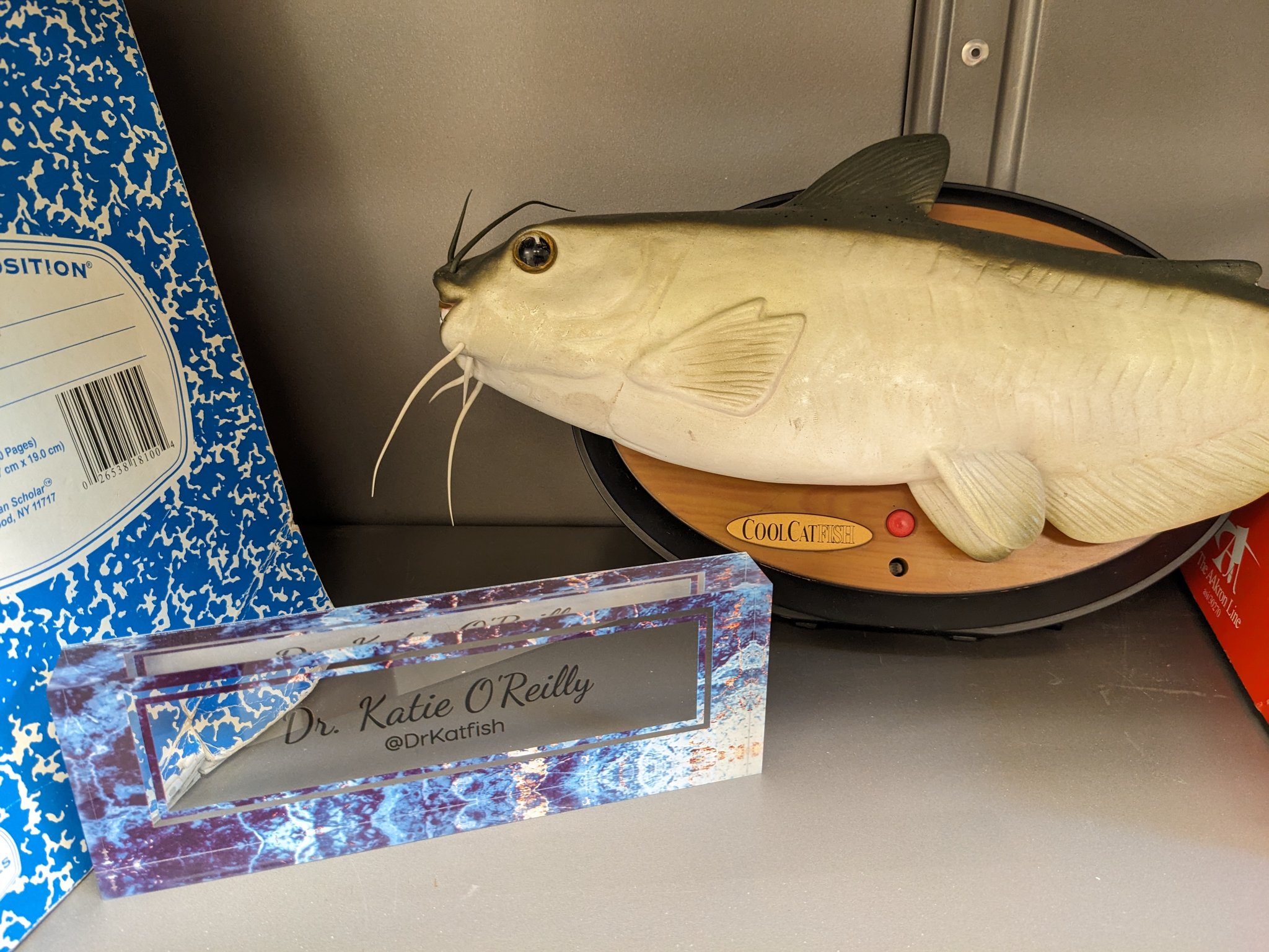 Cool Catfish Wallpaper