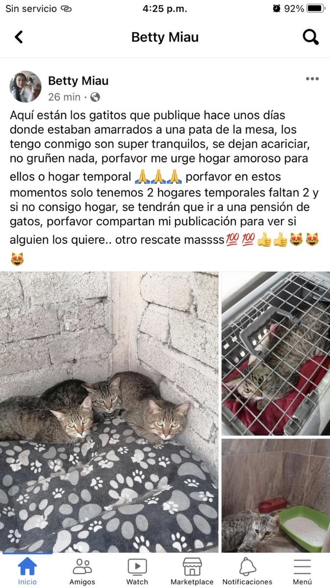 AnimalesCDMX on Twitter: AnimalesCDMX on Twitter: