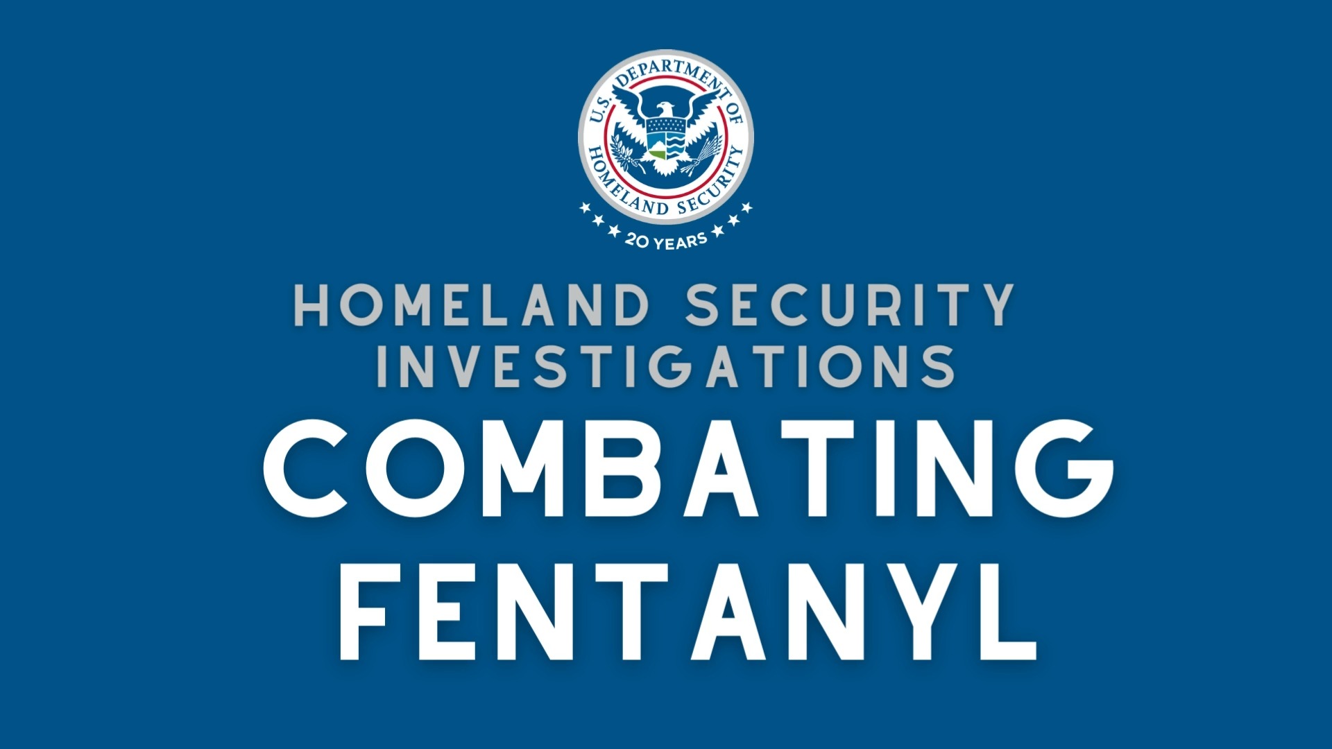 Homeland Security Investigations Logo