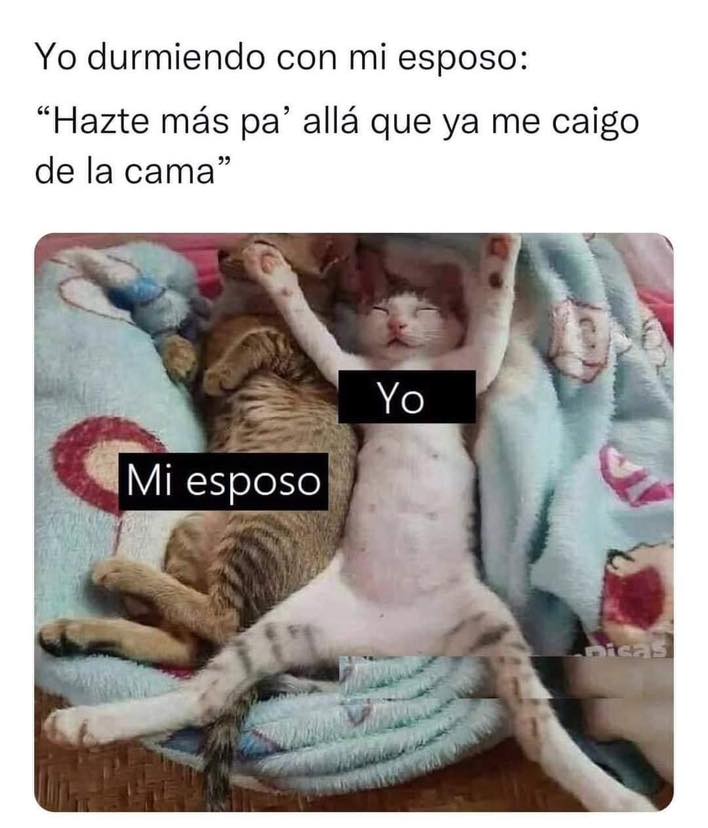 Memes Yo Durmiendo Page 6 Free And Customizable Meme Templates