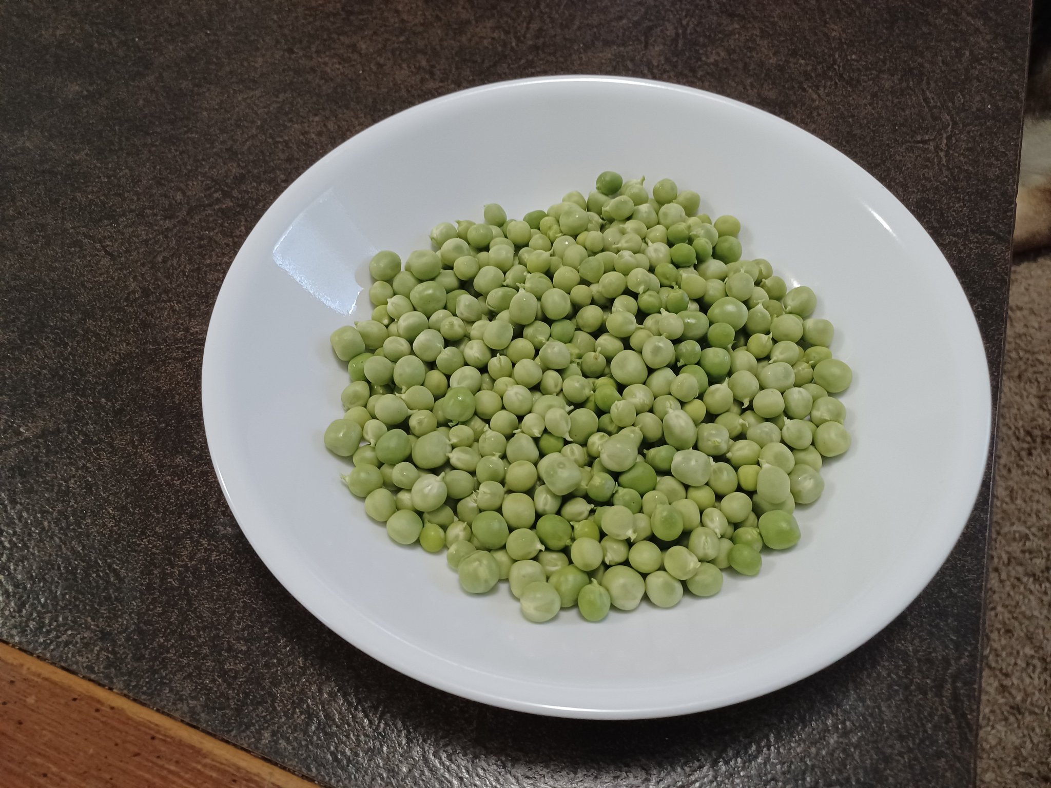 That Shawn Guy on Twitter: "Last peas of the season. They did pretty good this year. https://t ...