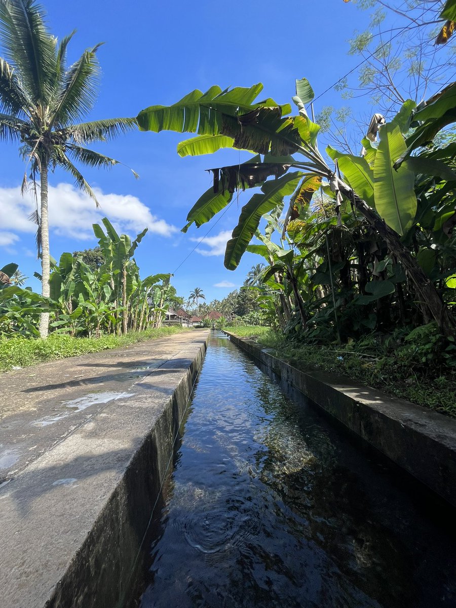 yud. on Twitter: "Asli, berasa punya sendiri"