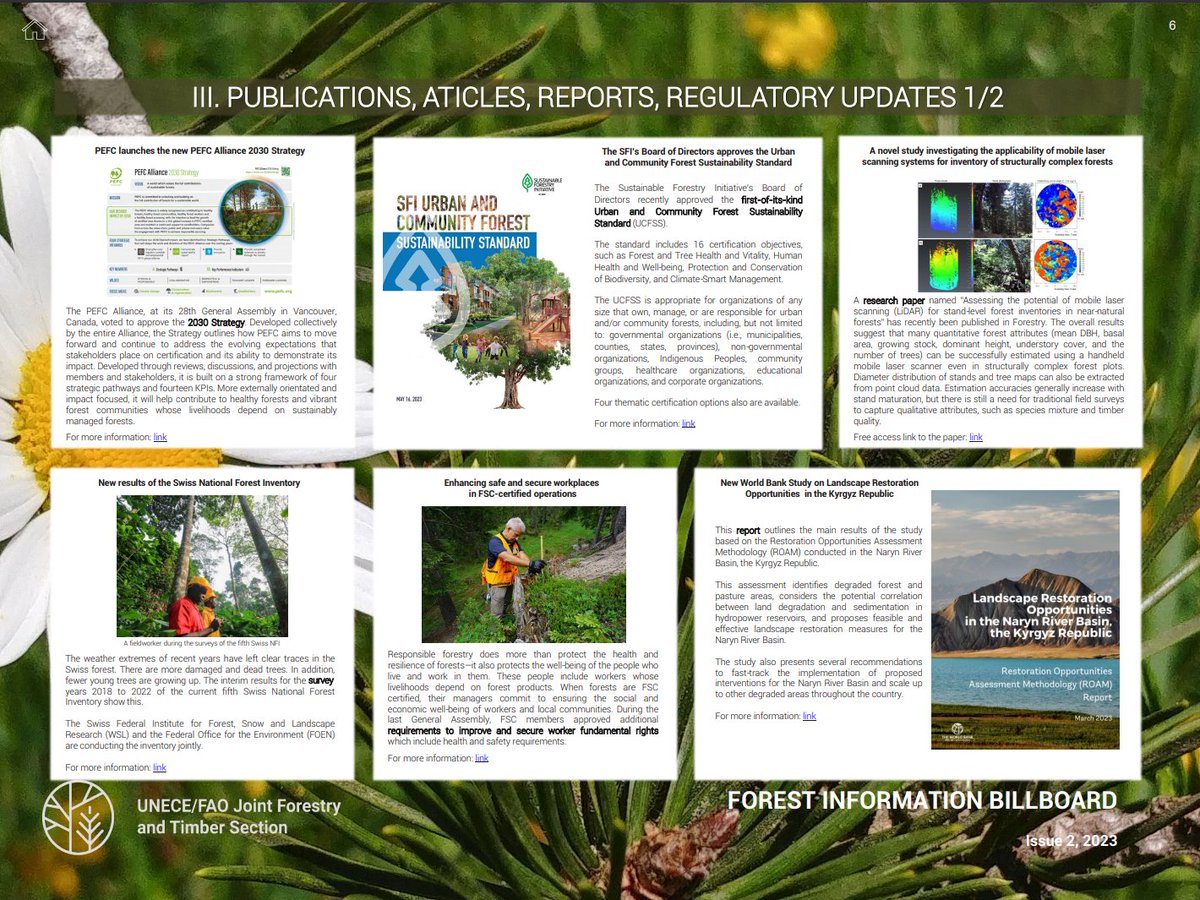 UNECE/FAO Forests on Twitter: "The latest issue of the Forest ...