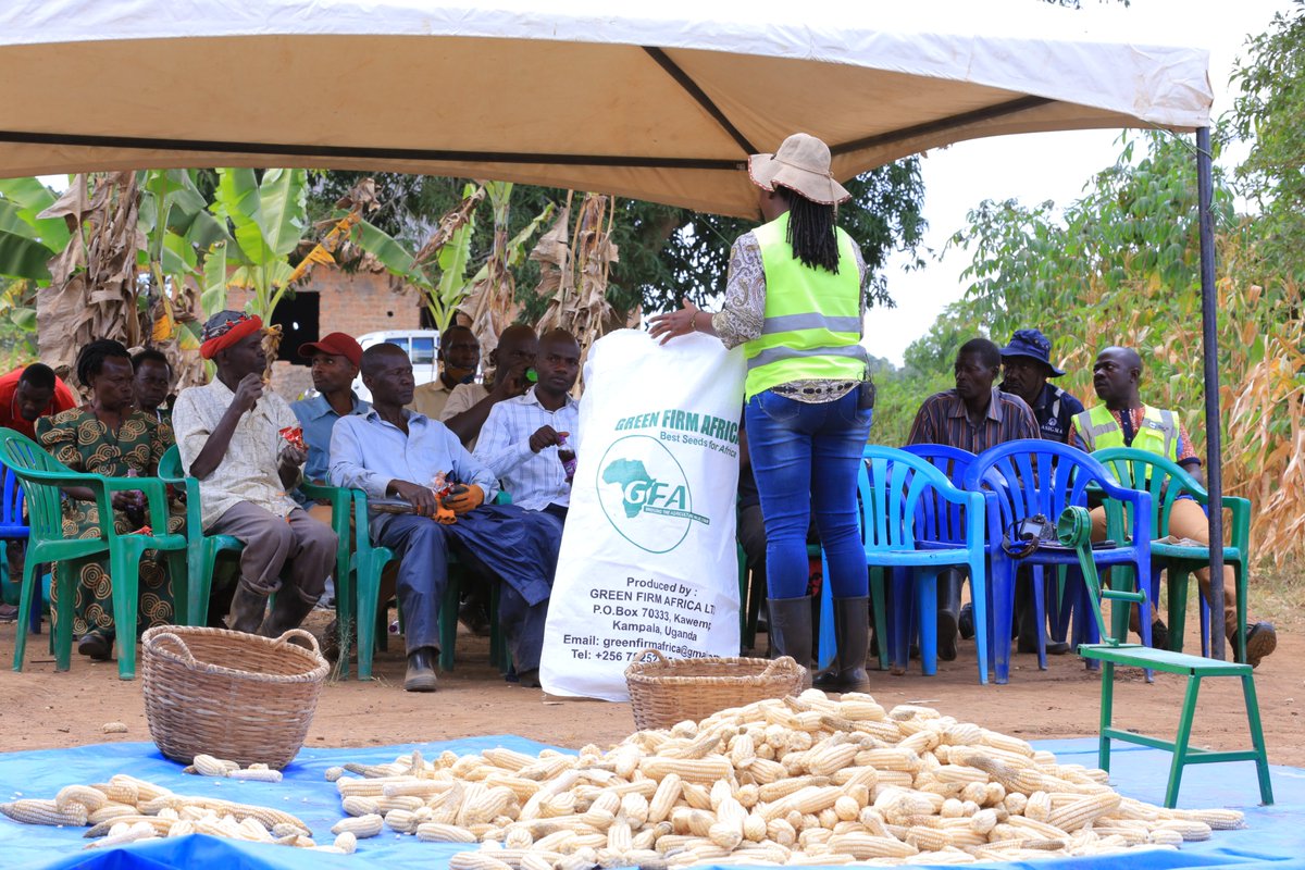 EACOP on Twitter: "Under its Livelihood Restoration Program for Project Affected Persons (PAPs ...