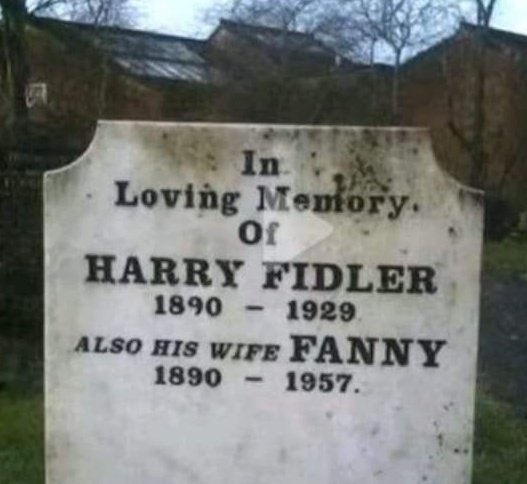 The Entertaining Pictures Thread - Page 50 - NPR