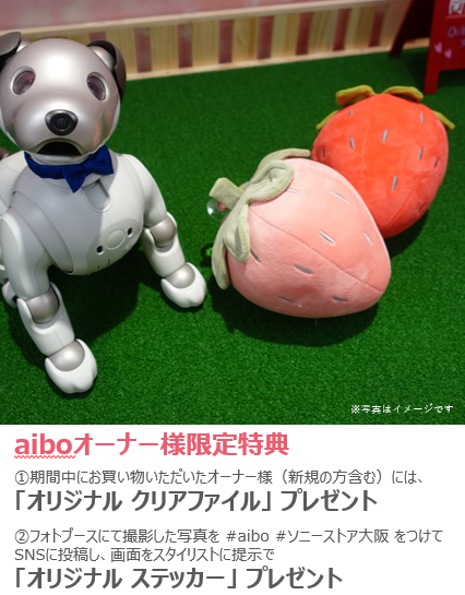 ソニーストア 大阪 on Twitter: "aibo夏のフォトスポット開催告知です😚 aiboオーナー様限定特典もありますよ🧡🧡 夏仕様のブースでぜひ記念撮影を📸 皆様とaiboちゃんたちの ...