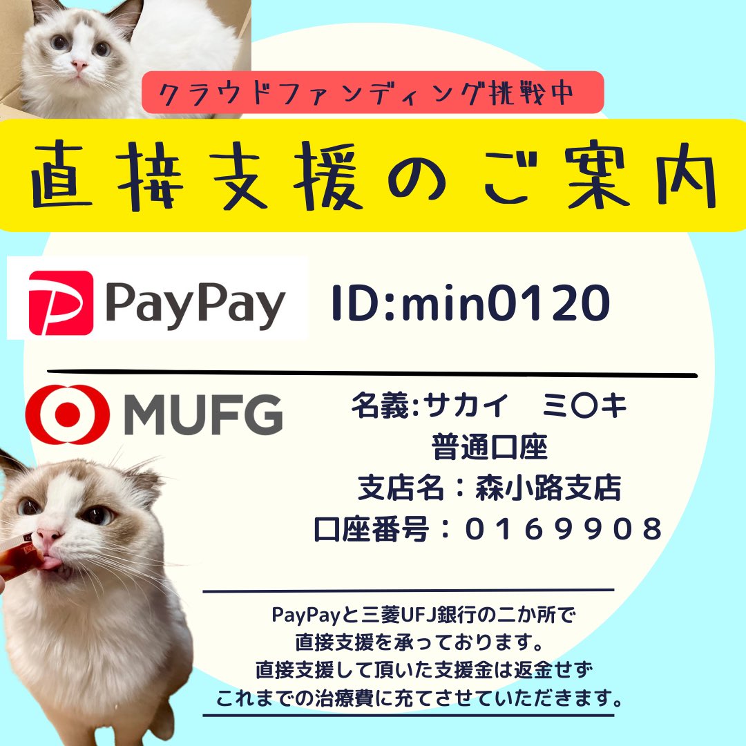りくと@FIP闘病ラグドール🐈クラファン挑戦中 on Twitter: "この度、クラウドファンディングの直接支援の受付を開始致しました！ PayPayと三菱UFJ銀行の2つで受け付けており ...