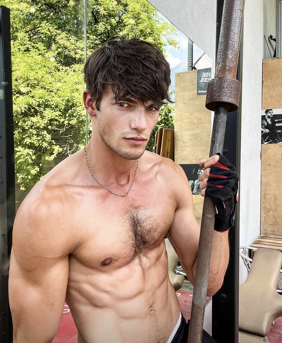 SILVERBACK on Twitter: "#Silverback"