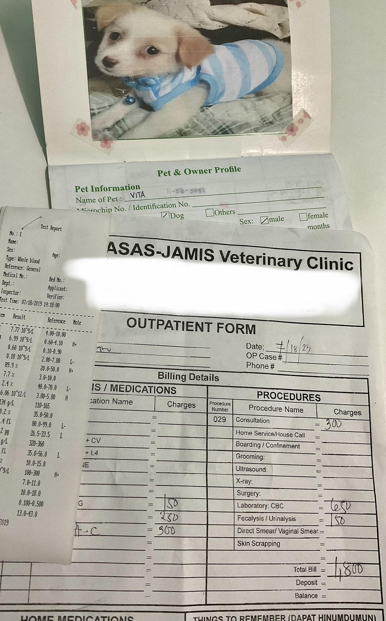 ˚ʚ Minto ɞ˚ Vtuber/90s Artist on Twitter: "I'm opening emergency comms to help pay for our dog's ...