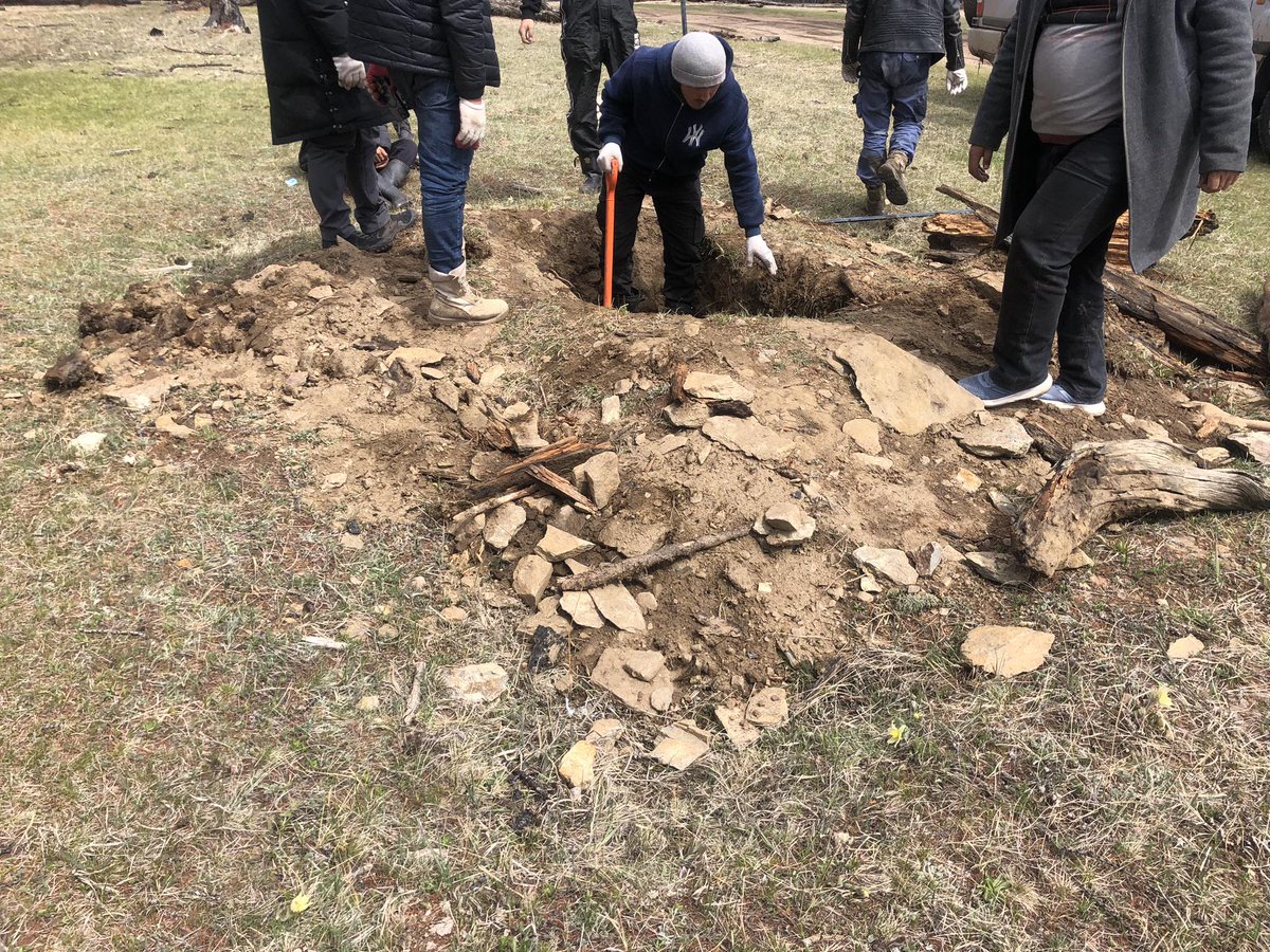 V Enkhtamir Шөөбөр хуульч On Twitter Салбарынхаа инженер залуутай
