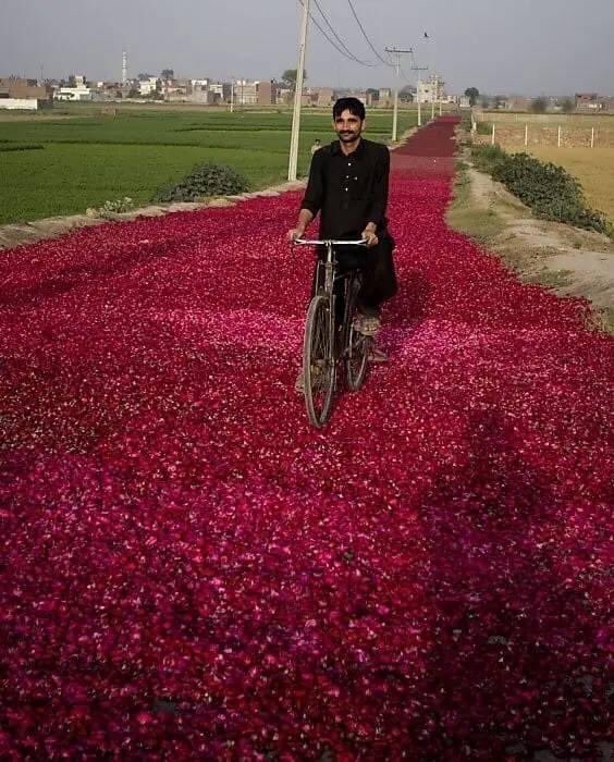 Prakshal Shah on Twitter: "RT @lilavacadoe: Me entering into people's life with my love ...