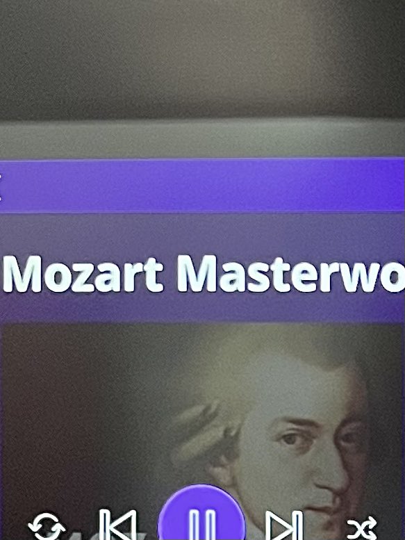 DVI gallery 🦋 'Second Chance' on Twitter: "RT @Shinadis: