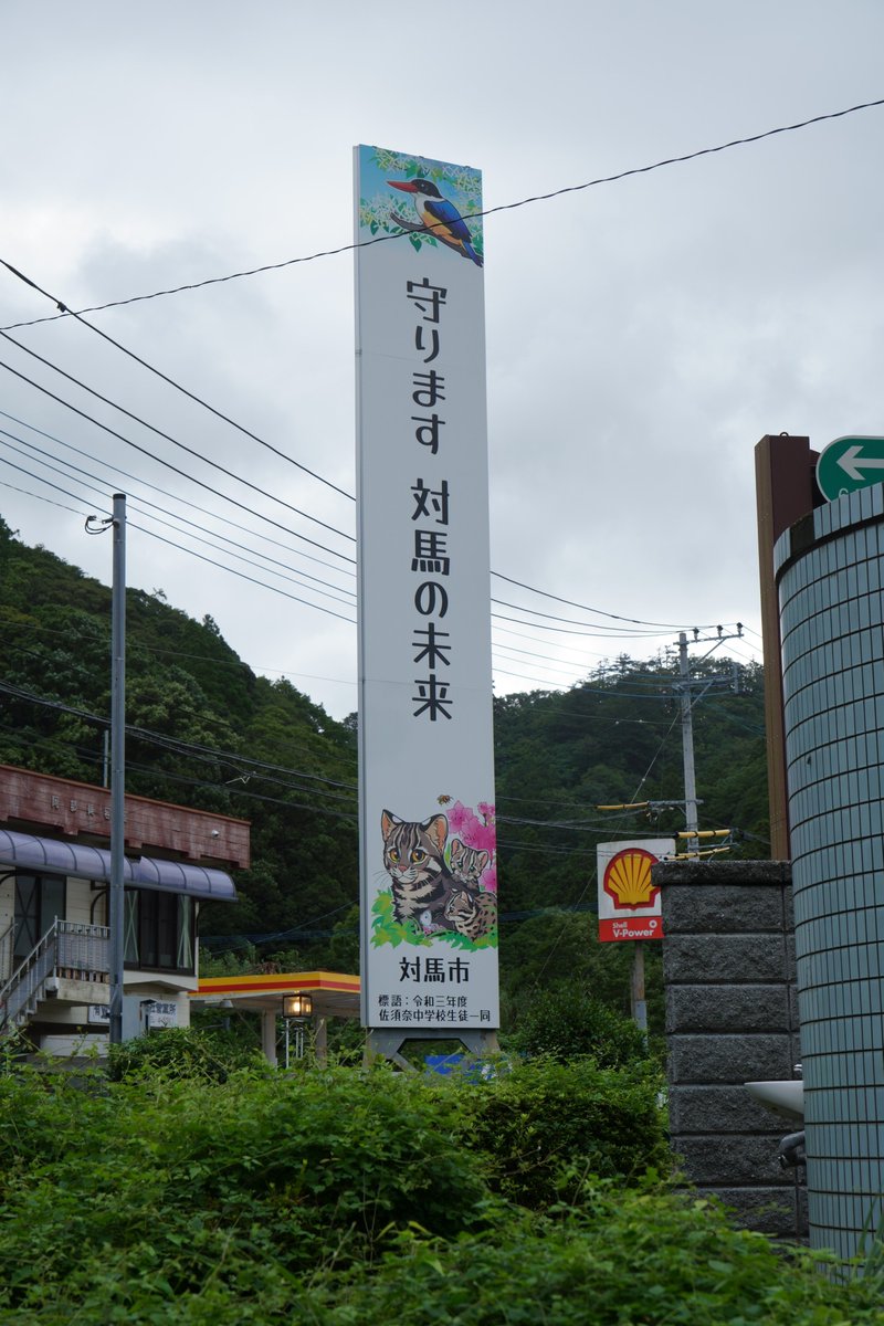 ビッグモーター前の街路樹(@plus7) - Twilog