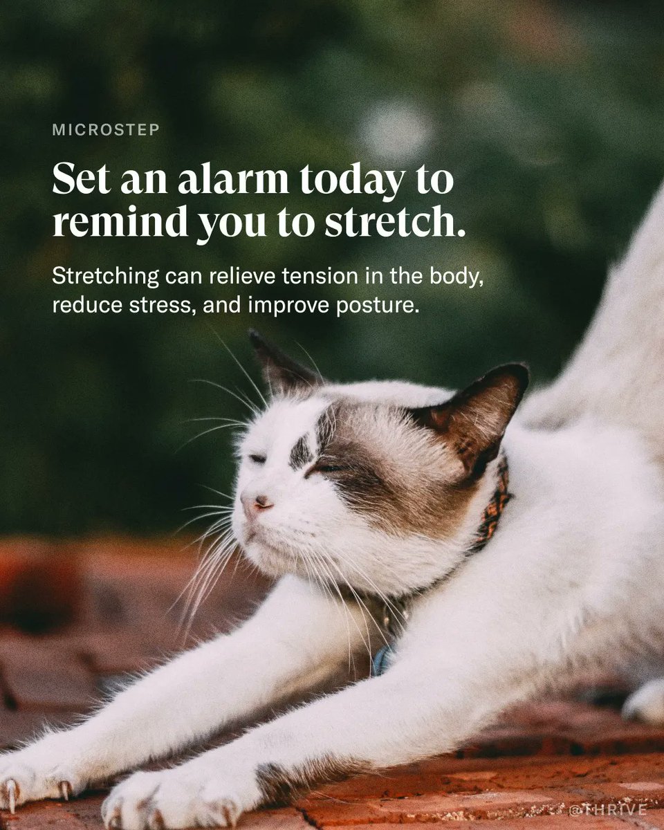 Thrive Global on Twitter: "Stretching is such an effective way to move our bodies and clear our ...