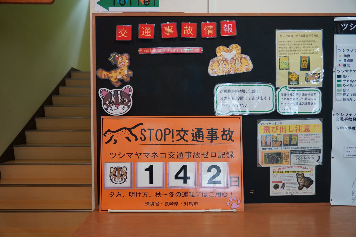 ビッグモーター前の街路樹(@plus7) - Twilog