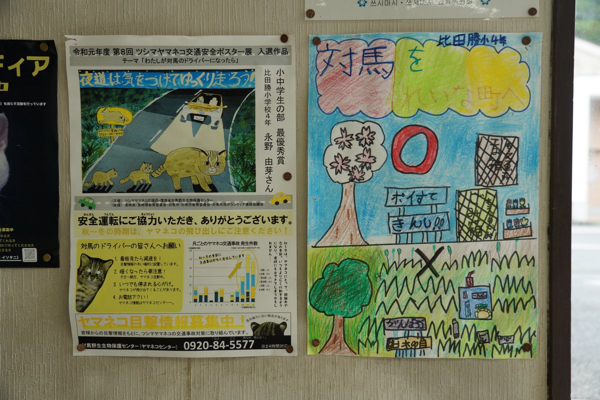 ビッグモーター前の街路樹(@plus7) - Twilog