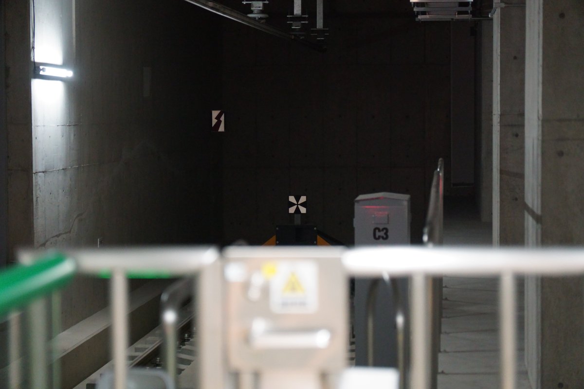 ビッグモーター前の街路樹(@plus7) - Twilog