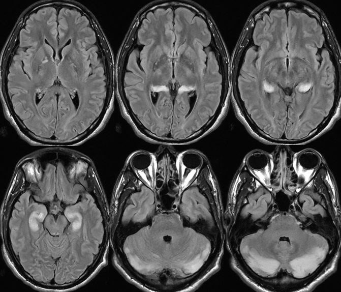 Thread by @daniel_gewolb on Thread Reader App – Thread Reader App