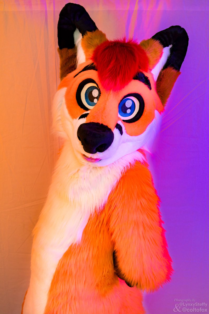 Colto Fox on Twitter: Colto Fox on Twitter: