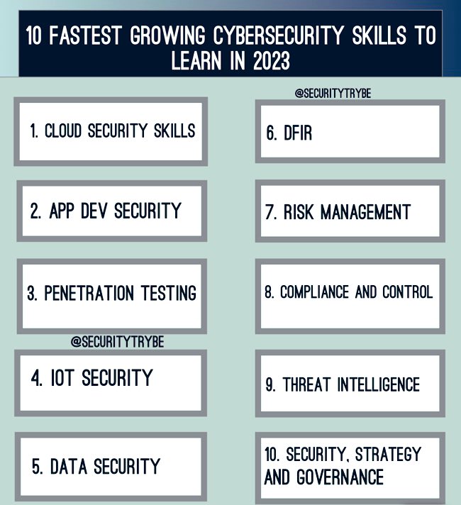 Security Trybe On Twitter 10 Fastest Growing Cybersecurity Skills To